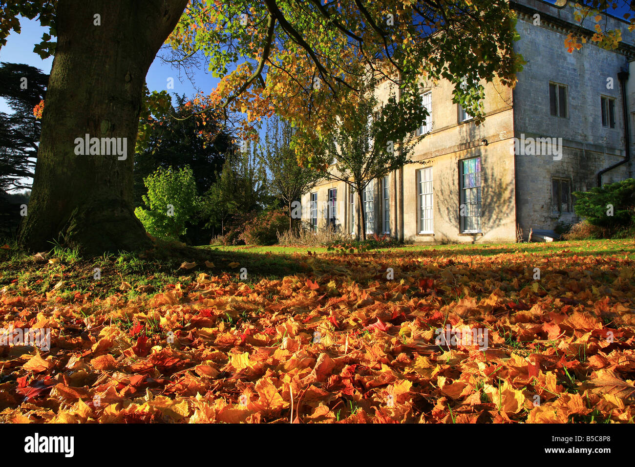 Stratford park stroud hi-res stock photography and images - Alamy