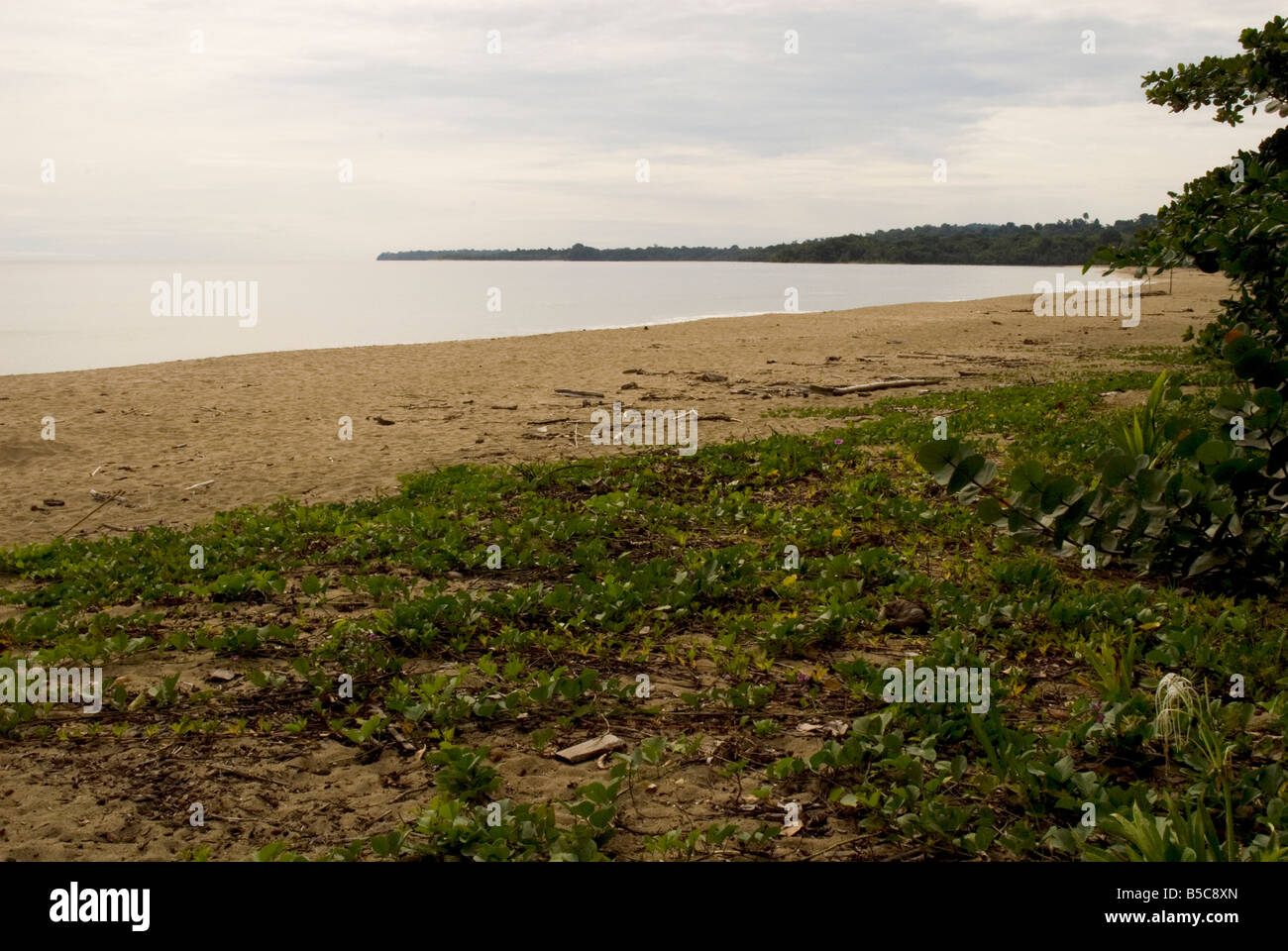 Calmado hi-res stock photography and images - Alamy