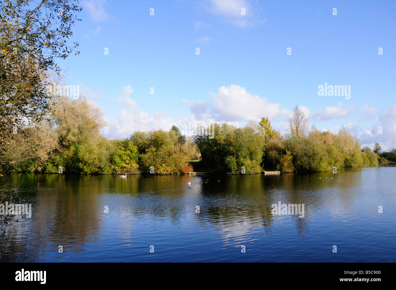 Milton Country Park Cambridgeshire England UK Stock Photo - Alamy