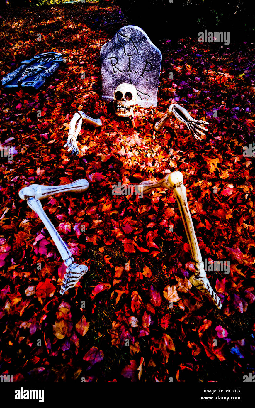 Skeleton in a graveyard hi-res stock photography and images - Alamy