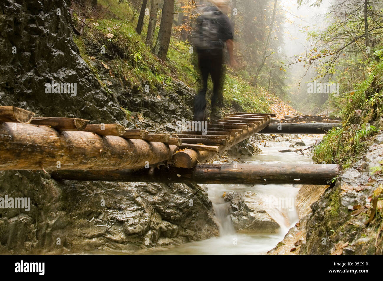 Autumn in "Slovensky Raj" National Park Stock Photo - Alamy