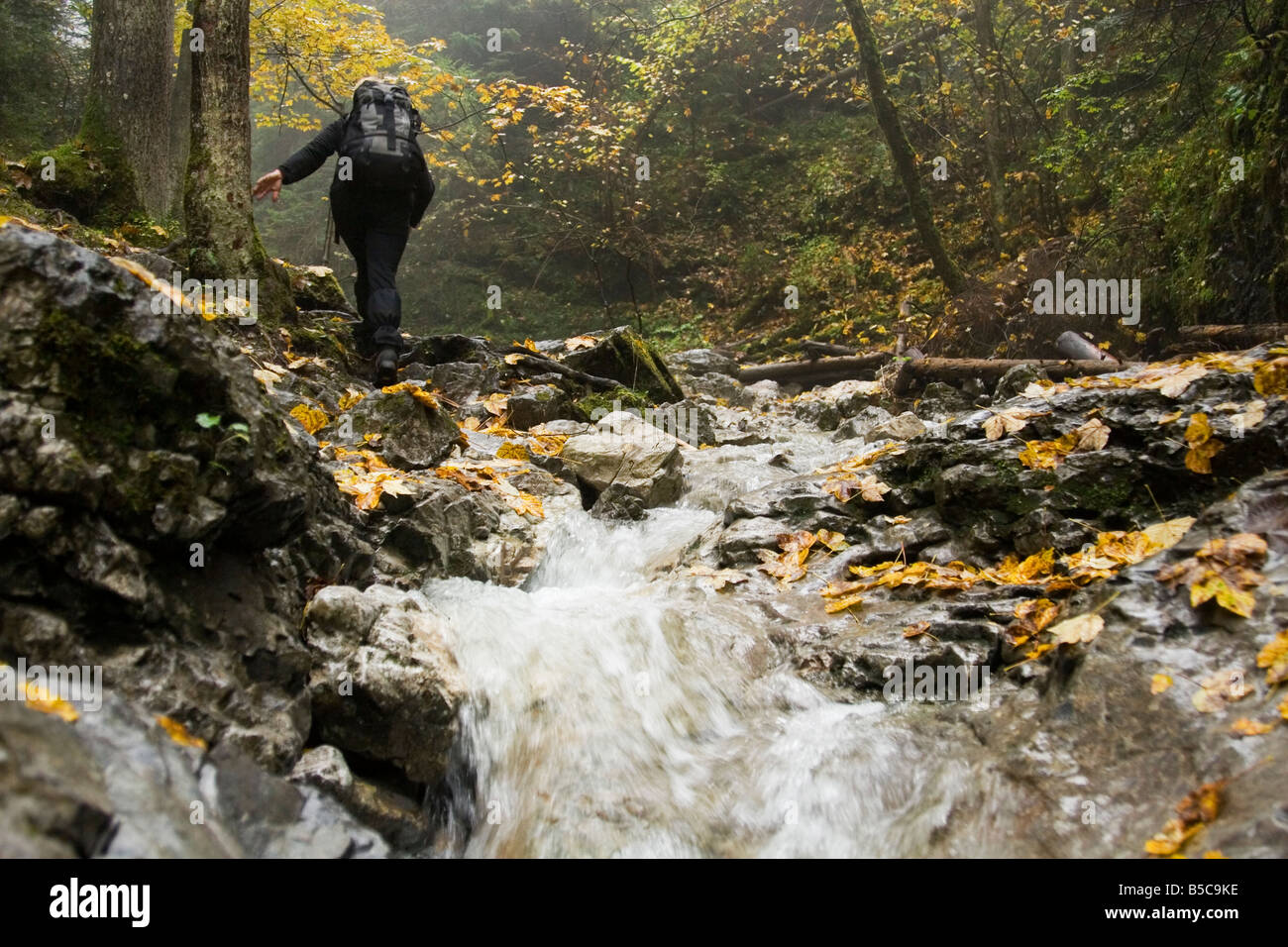 Autumn in "Slovensky Raj" National Park Stock Photo - Alamy