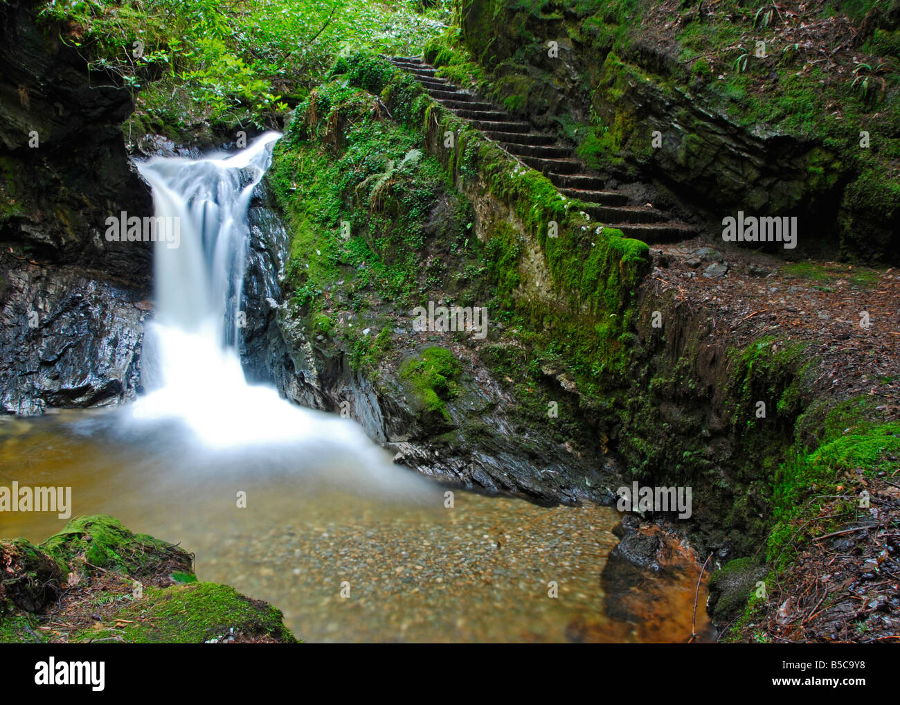 Puck's Glen High Resolution Stock Photography and Images - Alamy