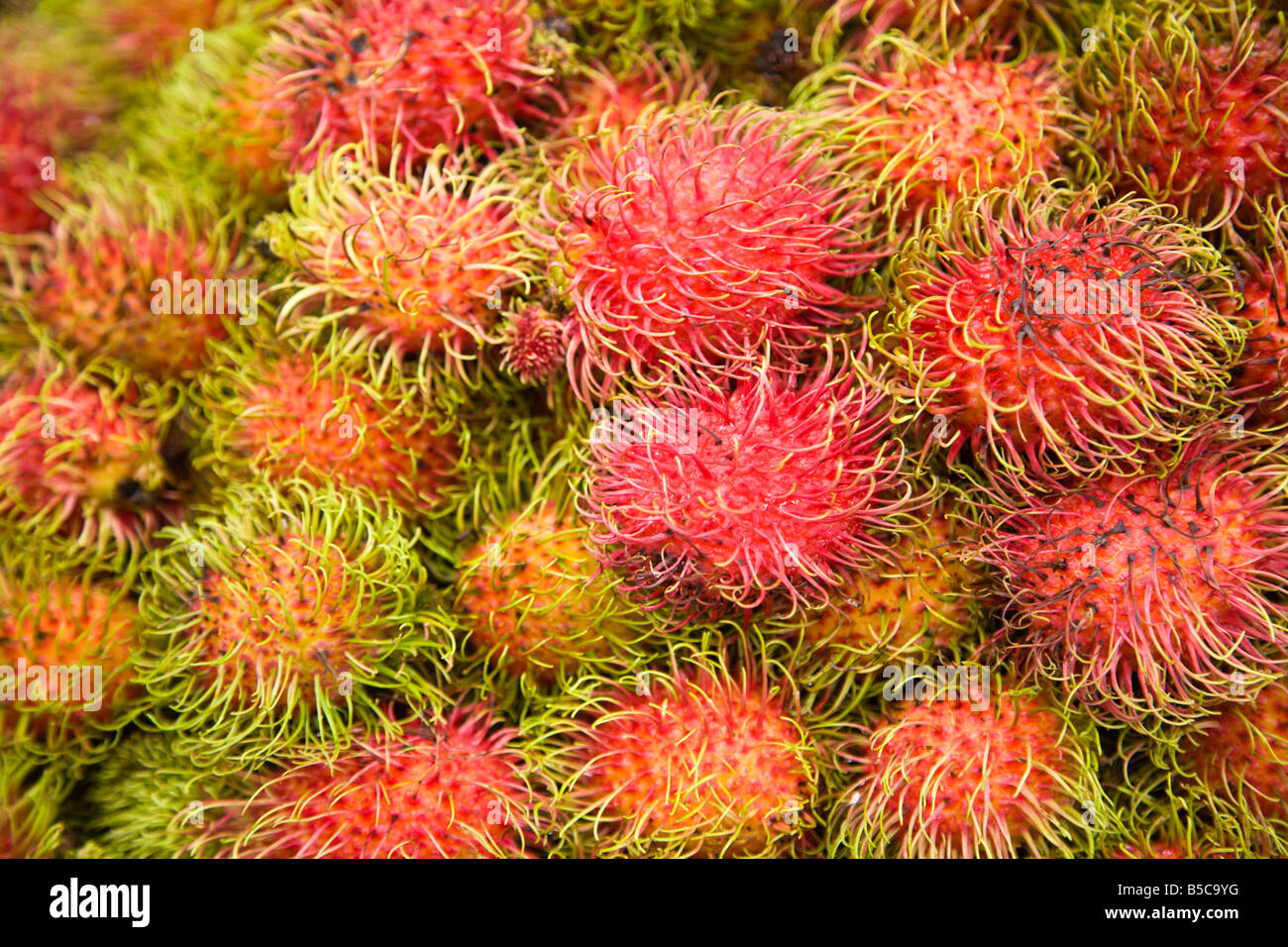 Rambutans Malaysia High Resolution Stock Photography and Images - Alamy