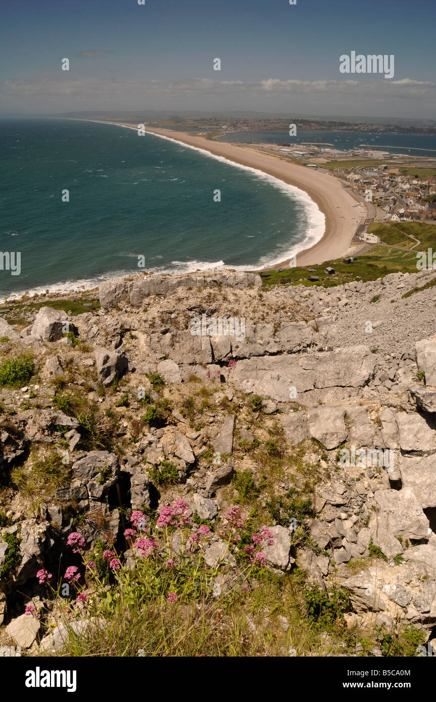 Portland viewpoint hi-res stock photography and images - Alamy