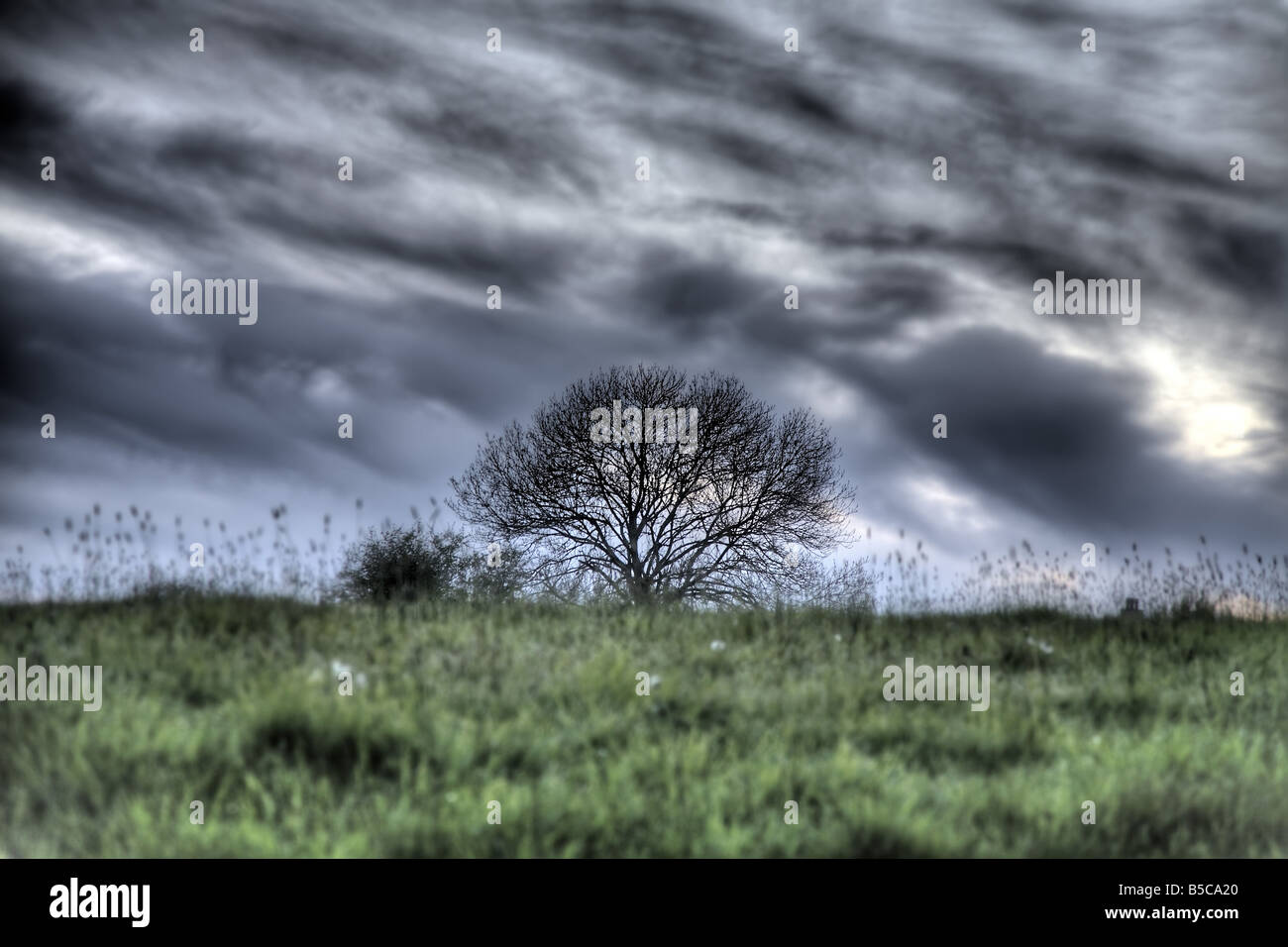 landscape scenery in County Limerick Stock Photo - Alamy