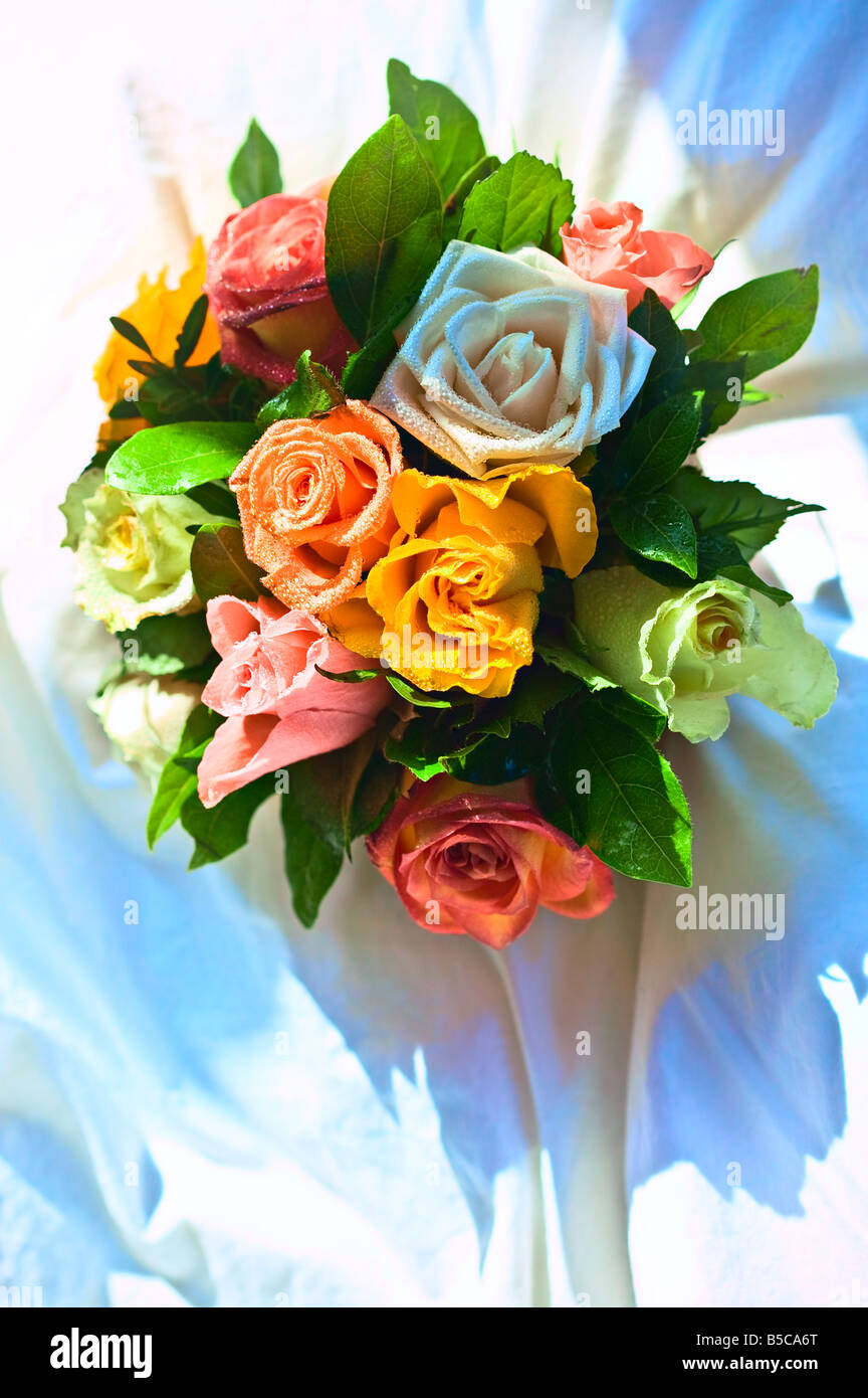 Bunch of bright colored roses Stock Photo - Alamy