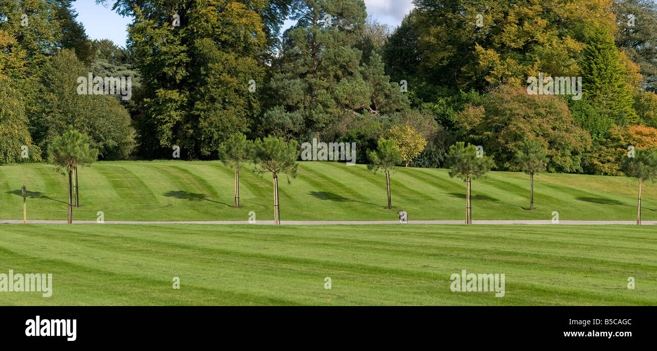 The grounds of a country estate Stock Photo - Alamy