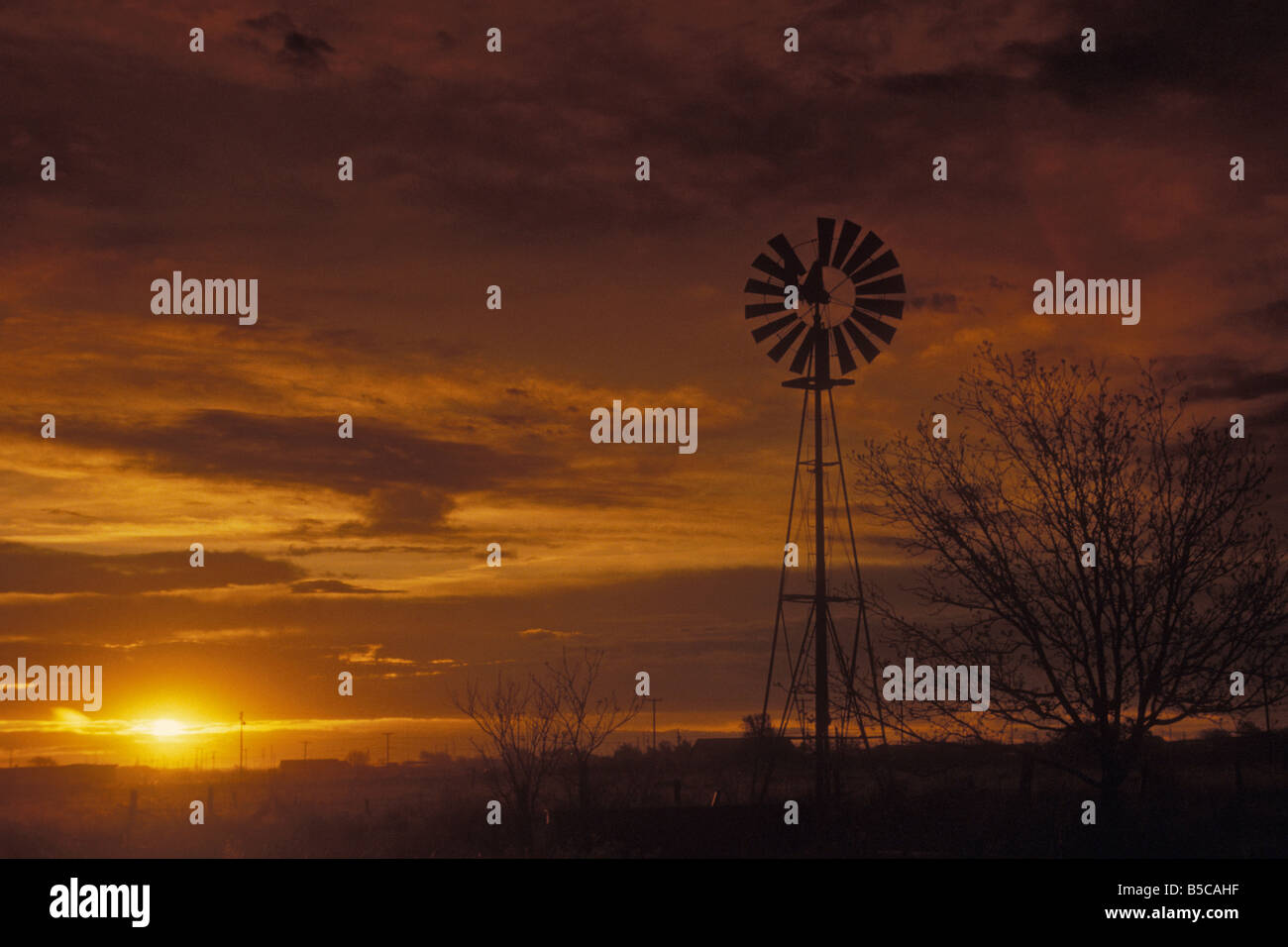 Windmills in west texas hi-res stock photography and images - Alamy