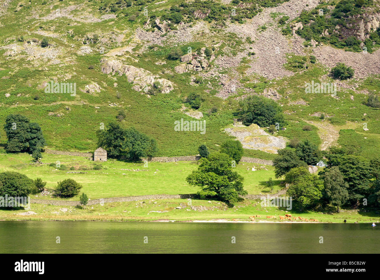 Inbye - Tìm hiểu về ý nghĩa, nguồn gốc và cách sử dụng