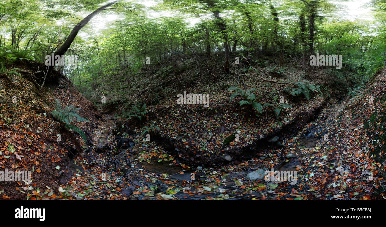 Buckley, wales hi-res stock photography and images - Alamy