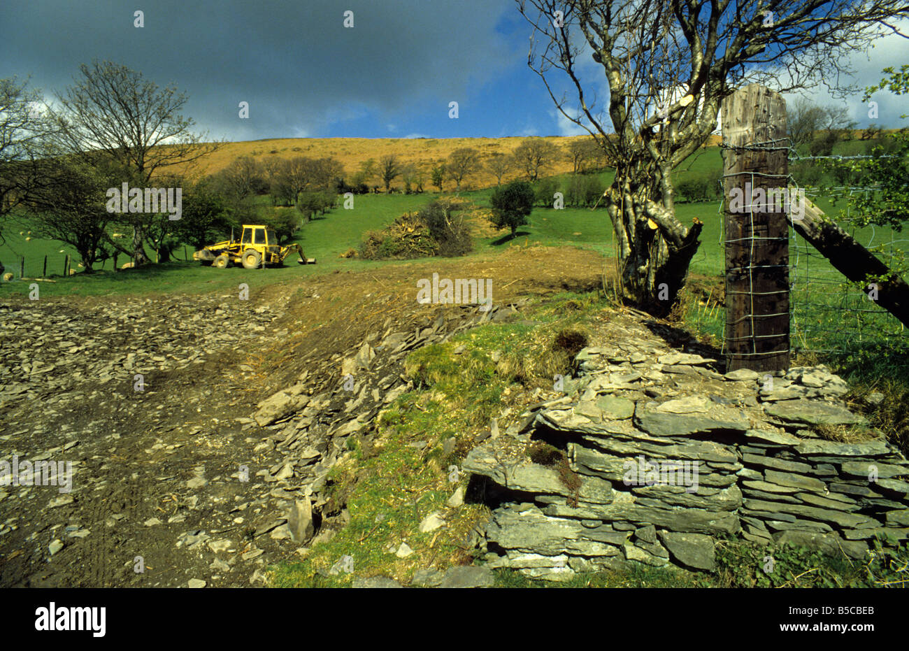 Destroying hedgerow hi-res stock photography and images - Alamy