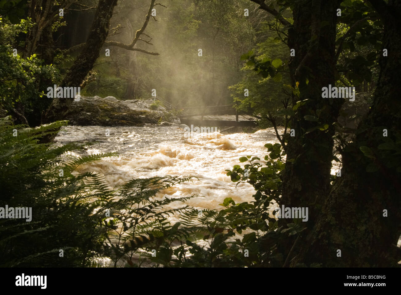 Water mist rising from a waterfall Stock Photo - Alamy