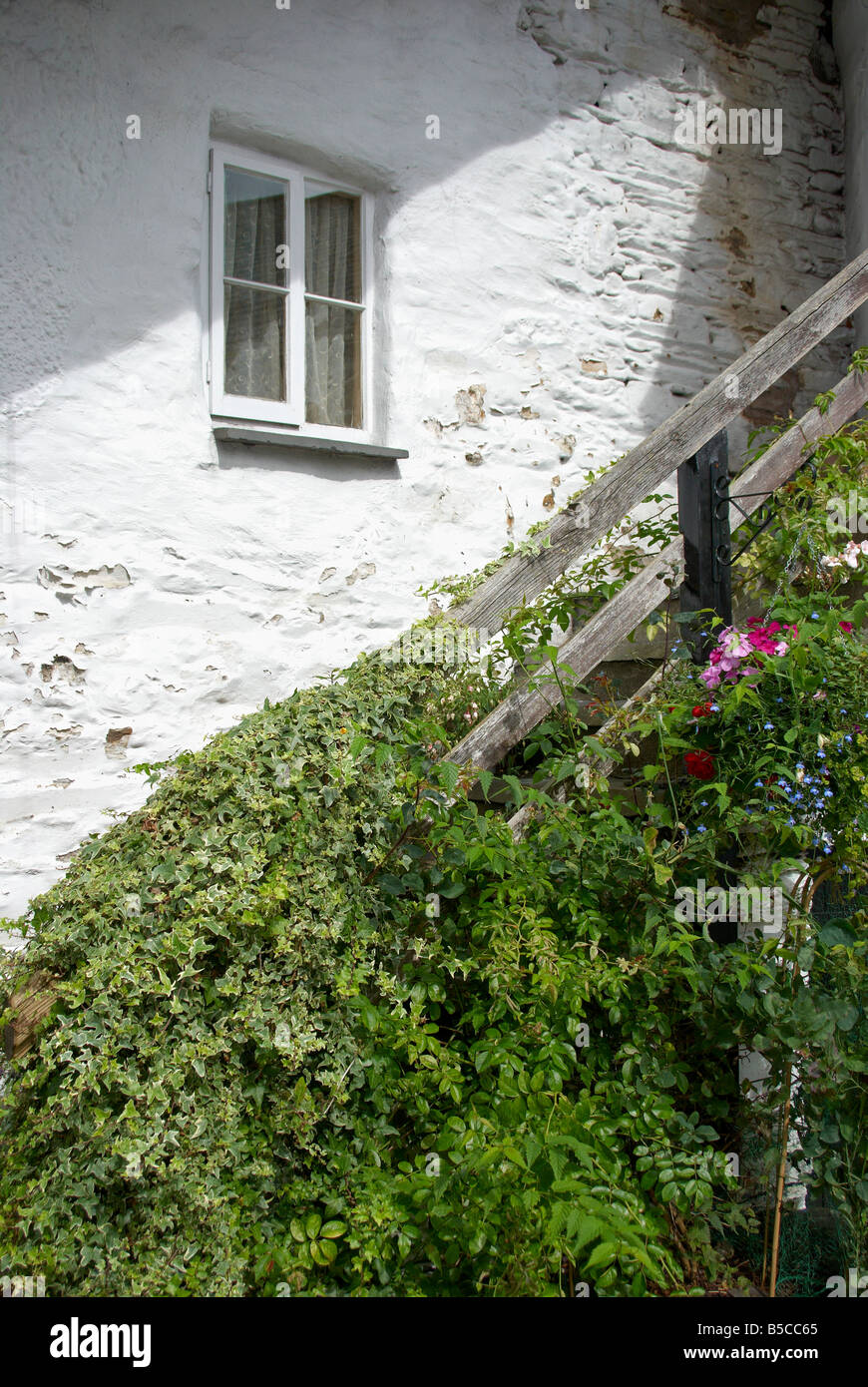 White painted stone cottage and creeper covered external stairs ...