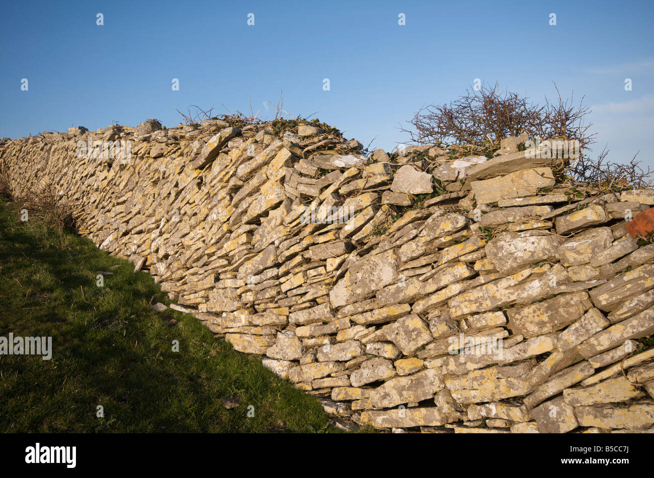 Dry Stone wall, Purbeck Stone Stock Photo - Alamy