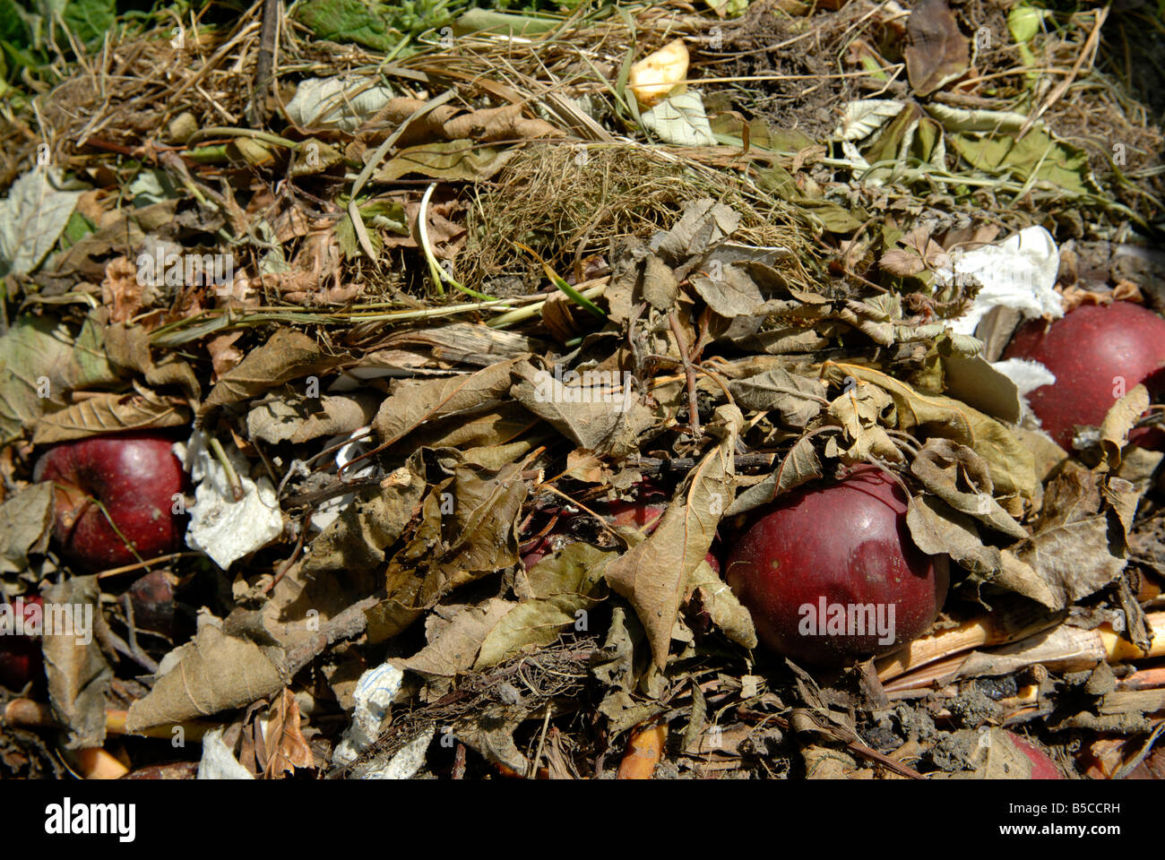 LAYERS OF COMPOST Stock Photo - Alamy