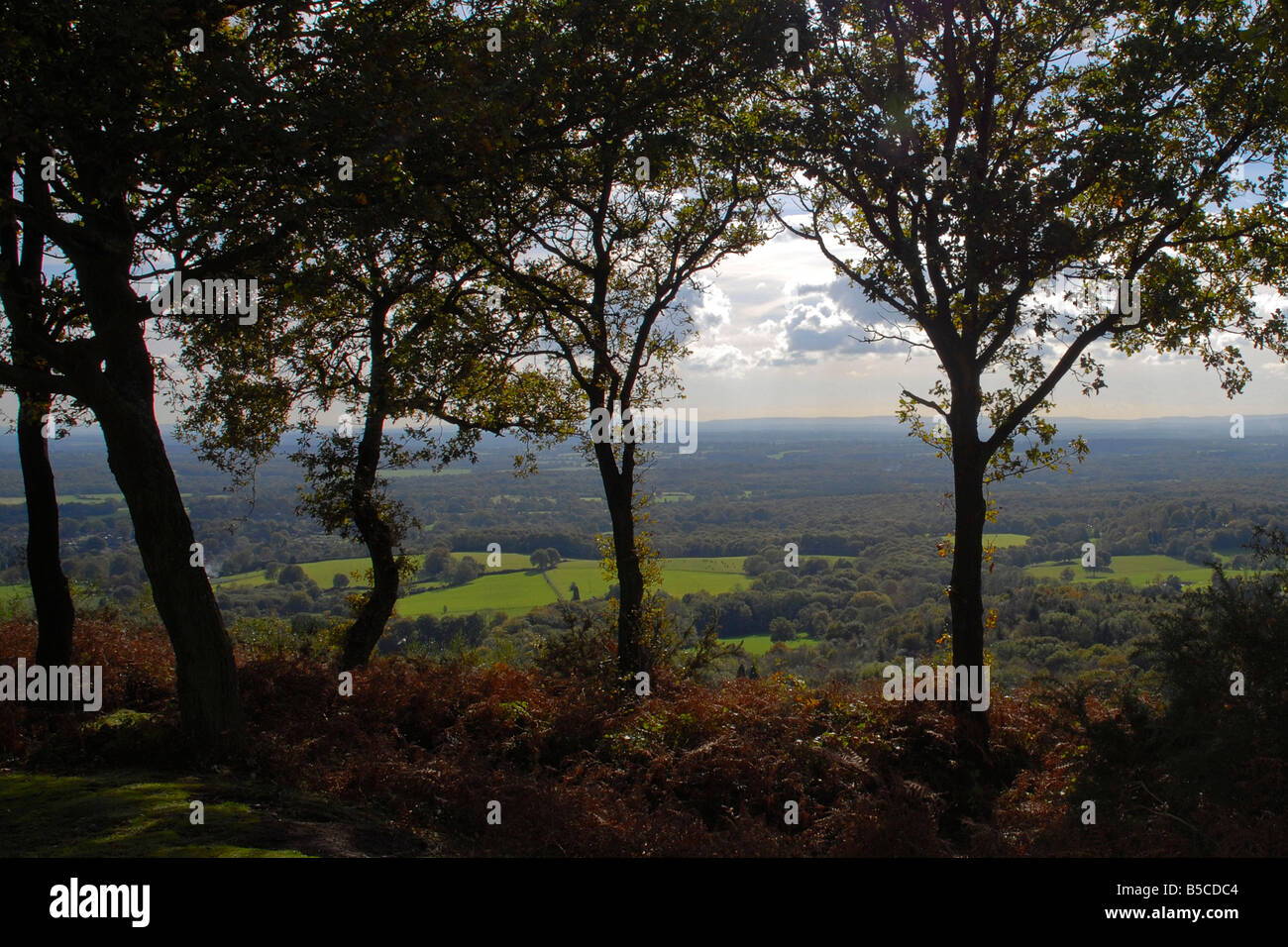 Pitch view hi-res stock photography and images - Alamy