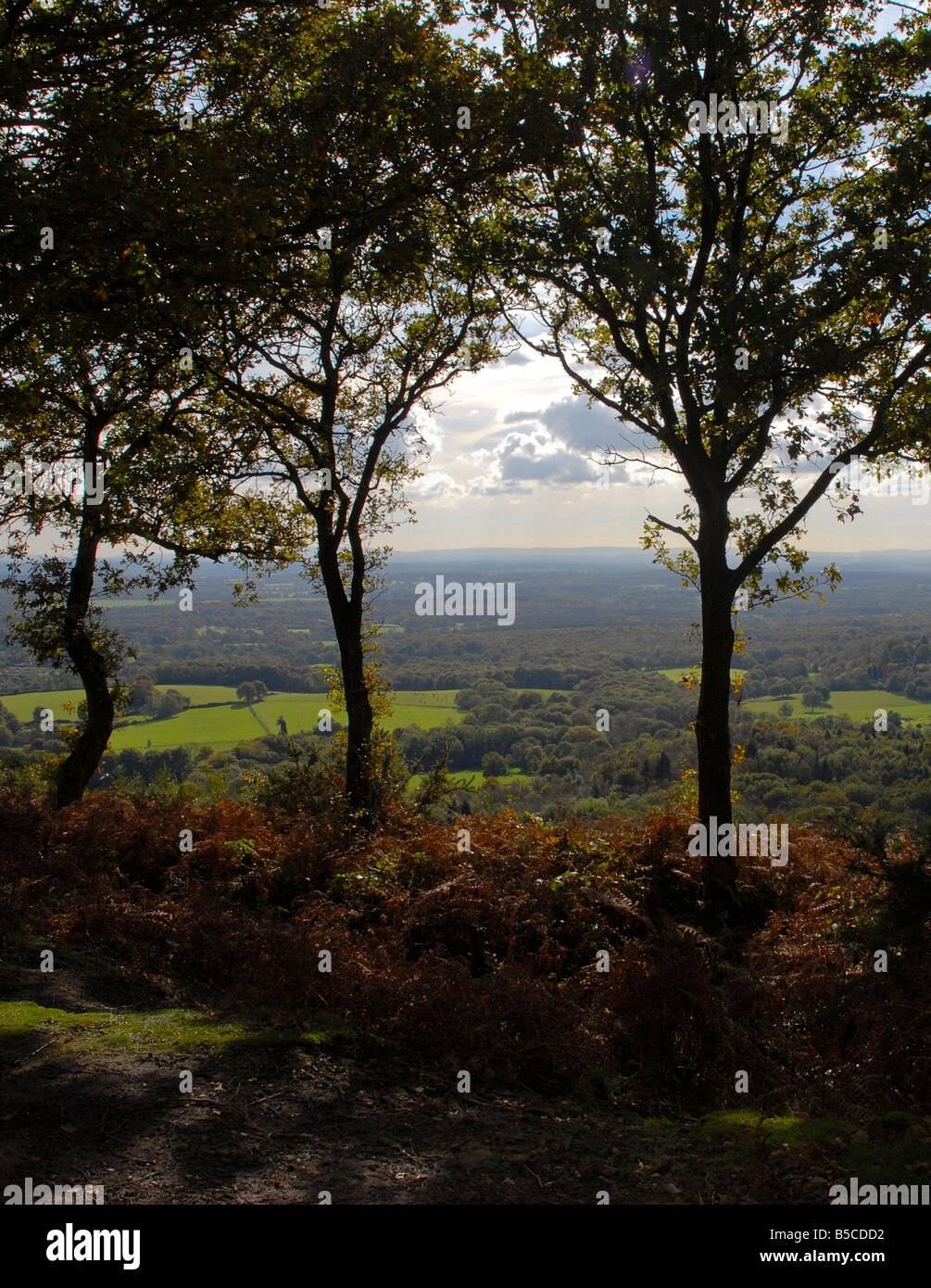 Ewhurst surrey hi-res stock photography and images - Alamy