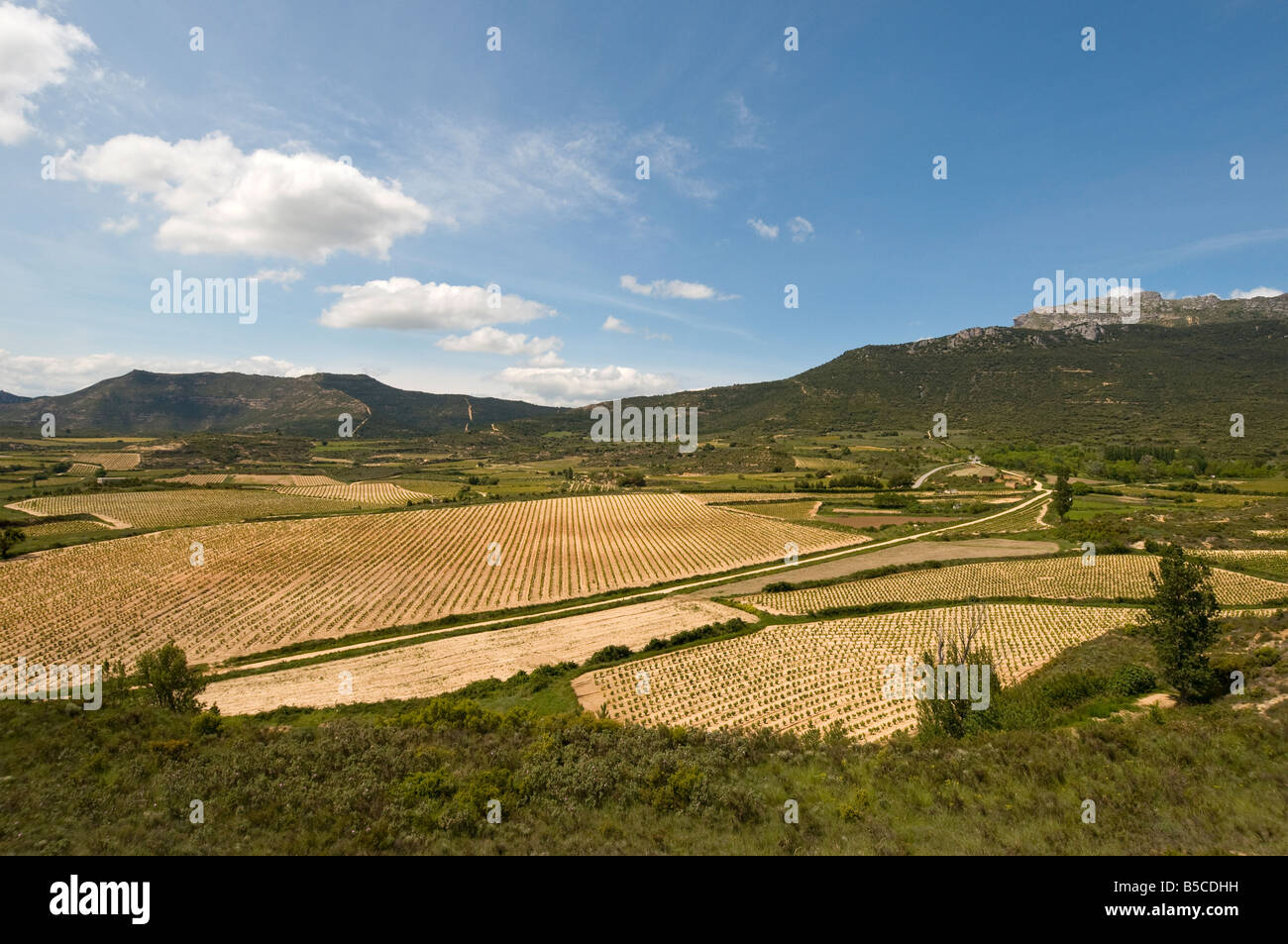 Basque Country, Spain. La Rioja Alavesa wine region near Haro Stock ...