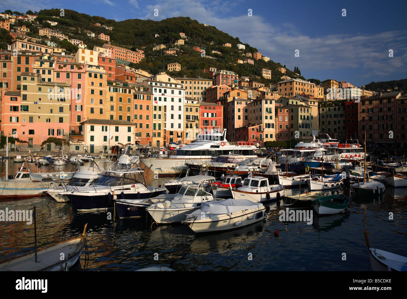 The little port of Camogli, a village on the italian riviera, Liguria ...