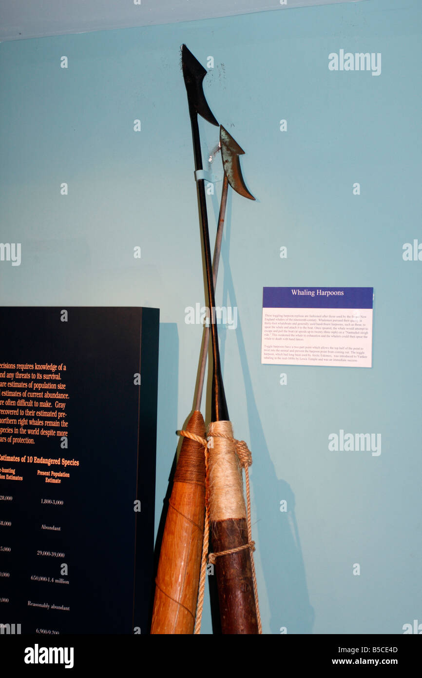 Old Whale Harpoons at Bar Harbor Whale Museum, Bar Haarbor, Maine Stock ...