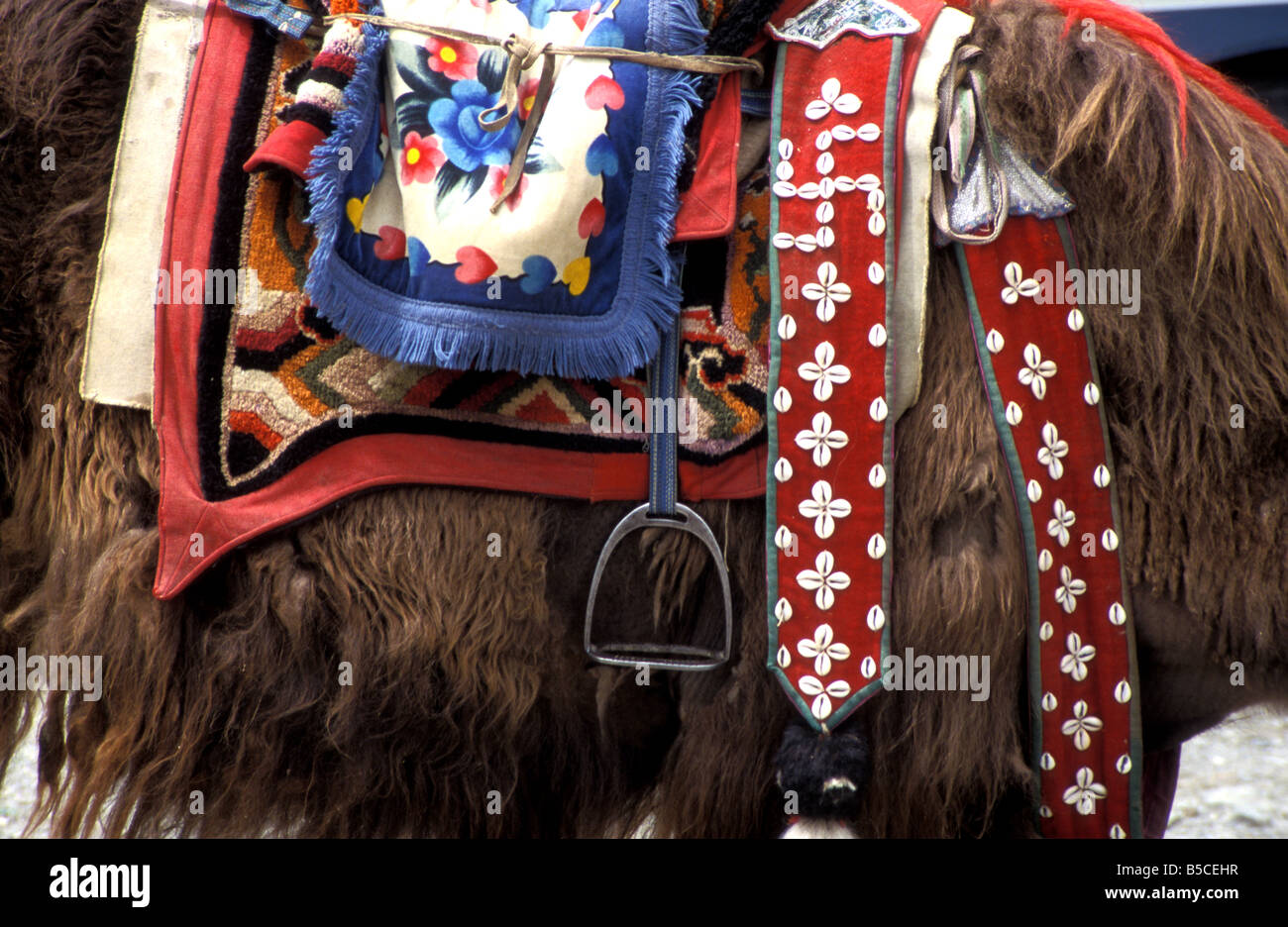 Yak saddles hi-res stock photography and images - Alamy