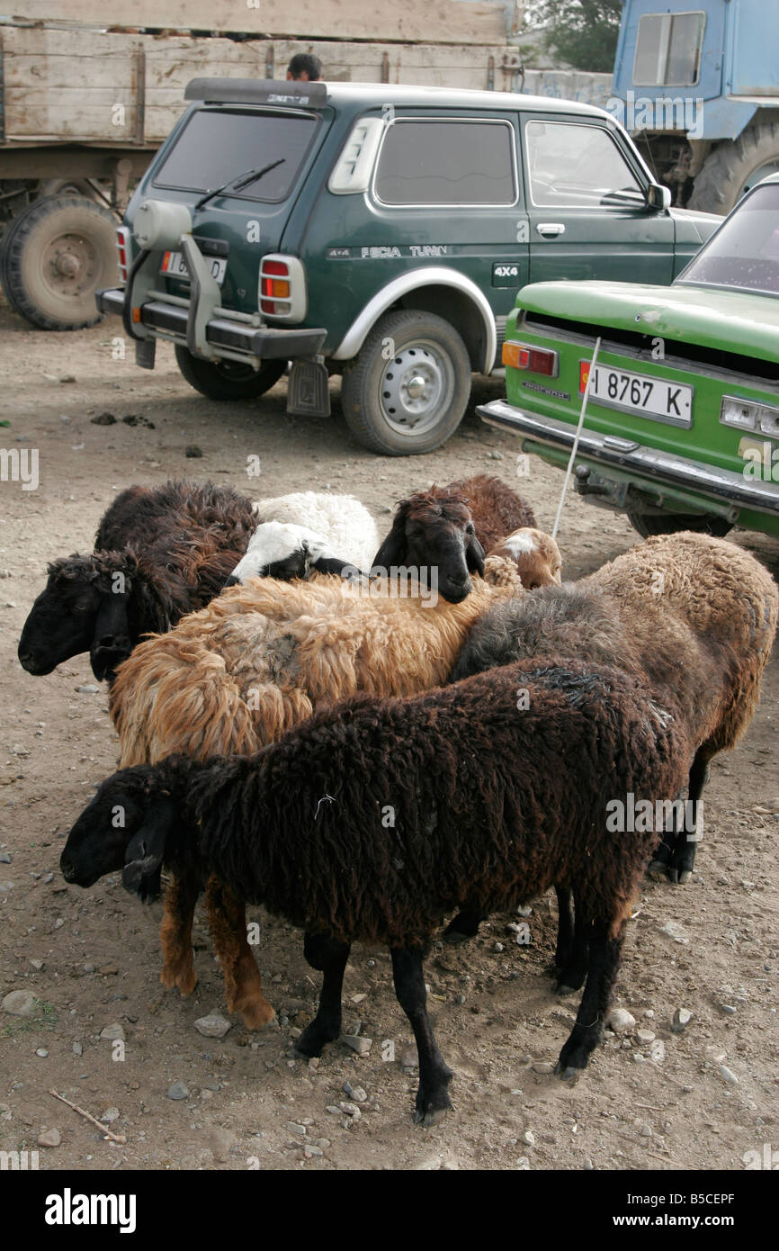 Sunday animal market in Karakol, Kyrgyzstan, Central Asia Stock Photo ...
