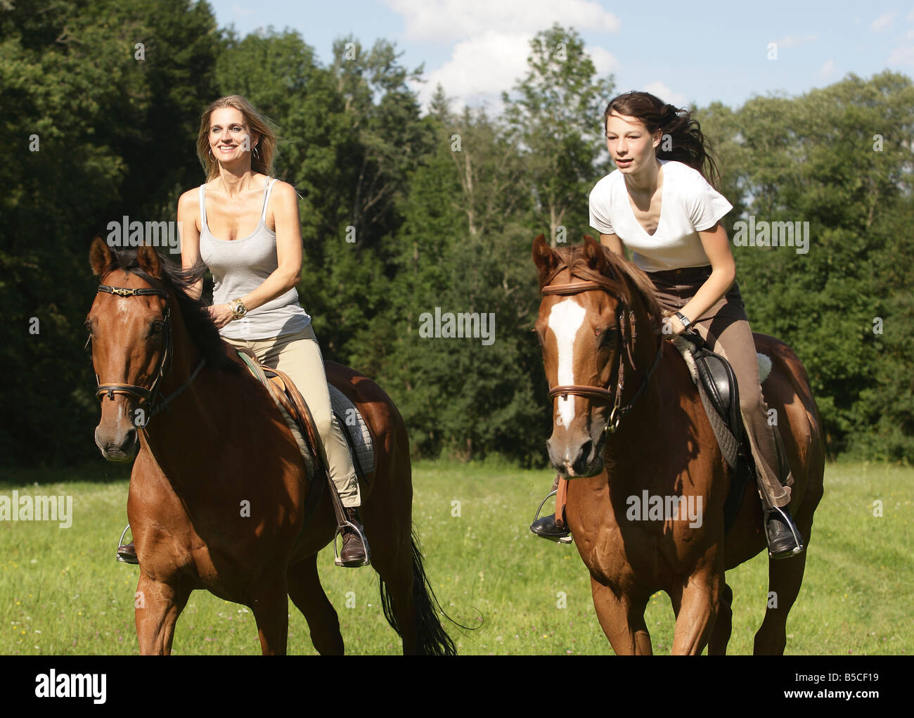 Galopping horse hi-res stock photography and images - Alamy