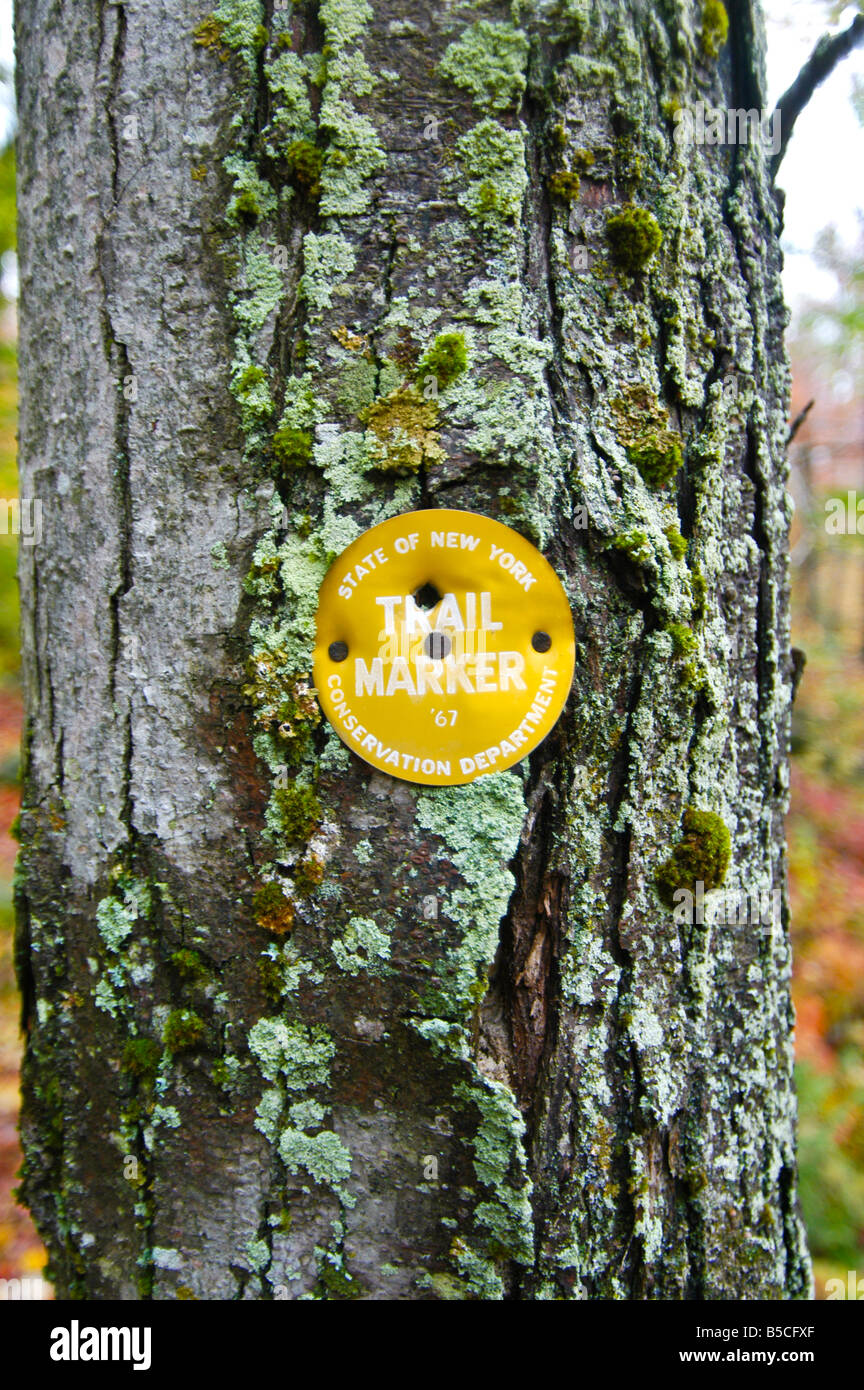 Trail marker on Adirondack tree Stock Photo - Alamy