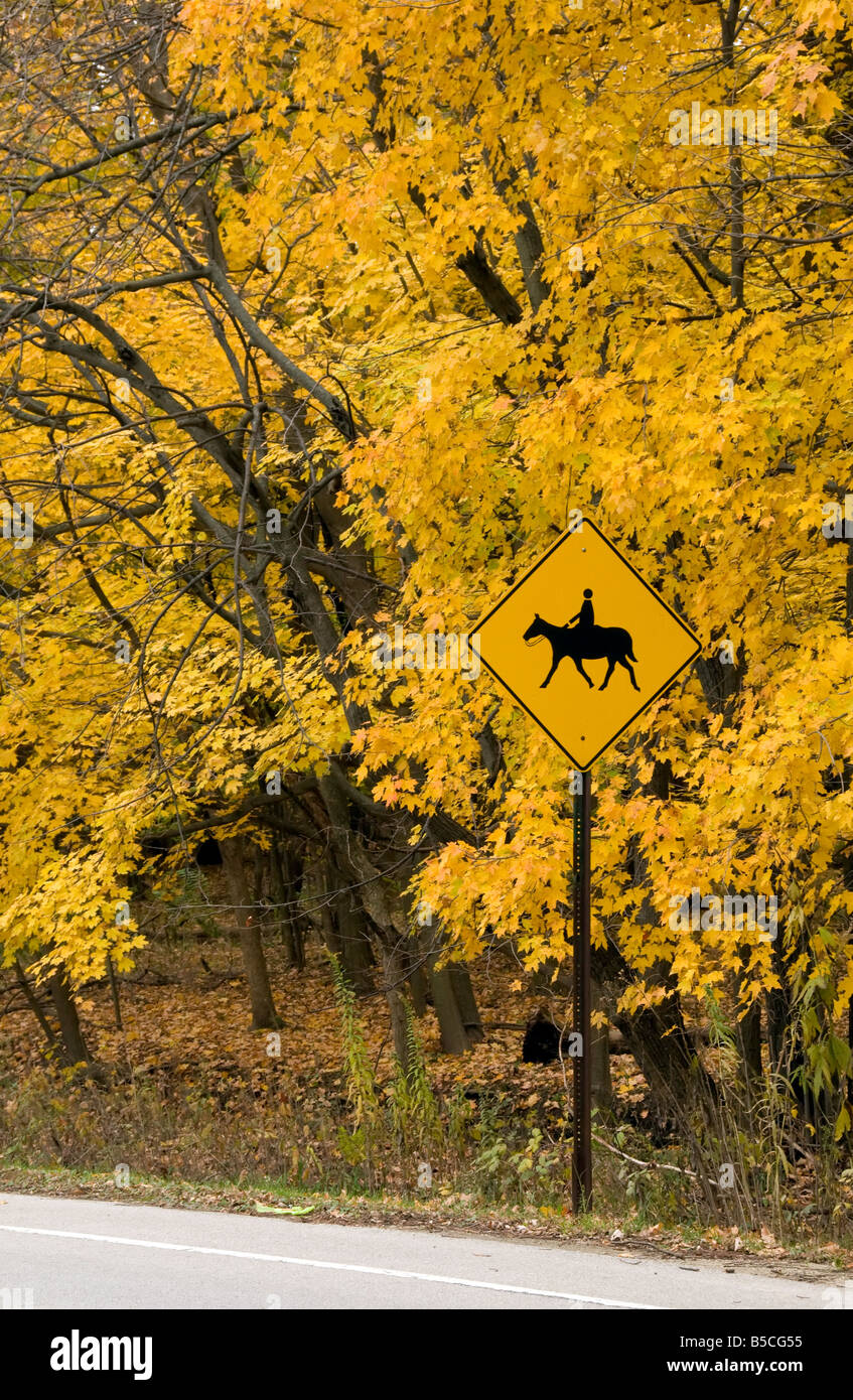 Yellow equestrian crossing sign by yellow foliage at roadside Stock ...