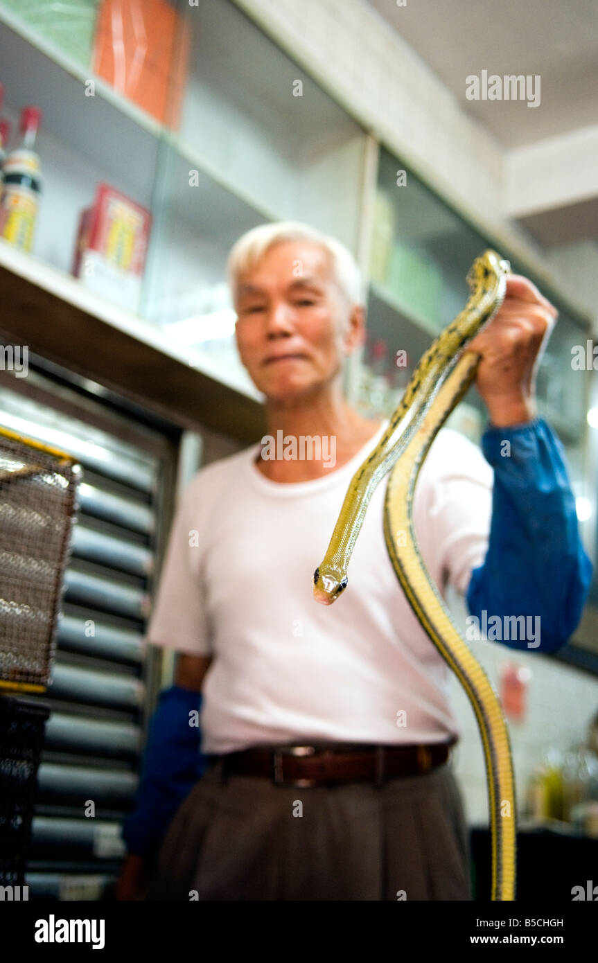 Snake food hi-res stock photography and images - Alamy