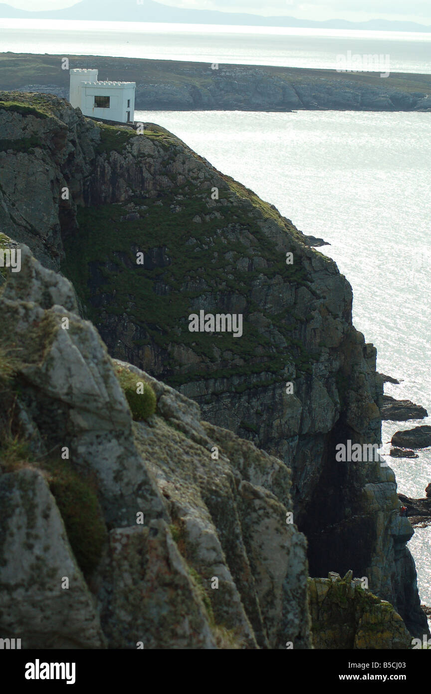 Ellin's Tower (RSPB) near South Stack in Anglesey Wales UK Stock Photo ...