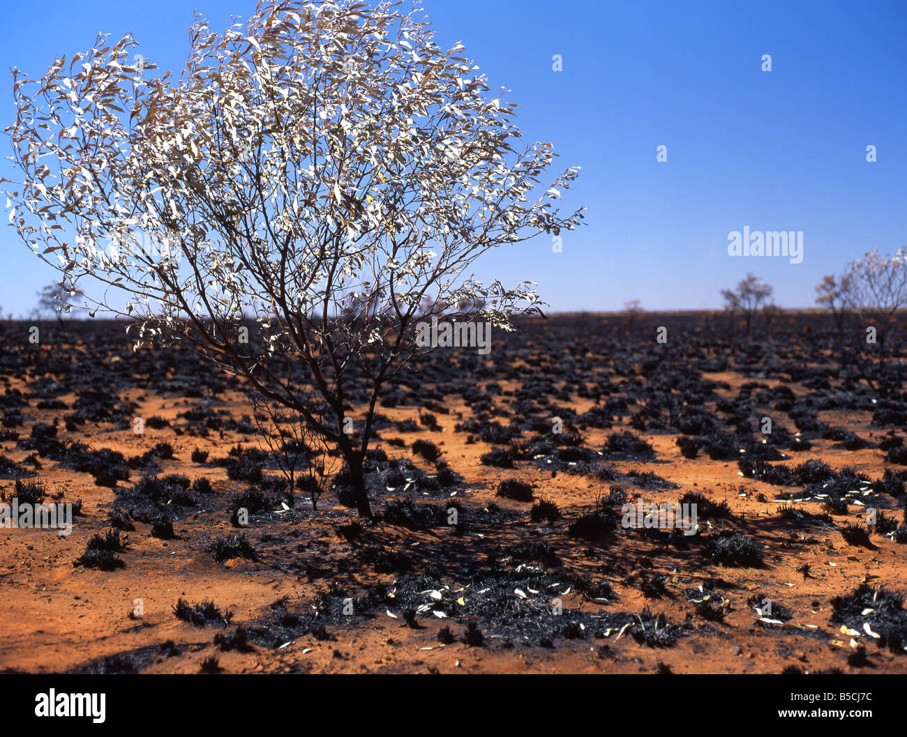 Burnt photograph australia hi-res stock photography and images - Alamy