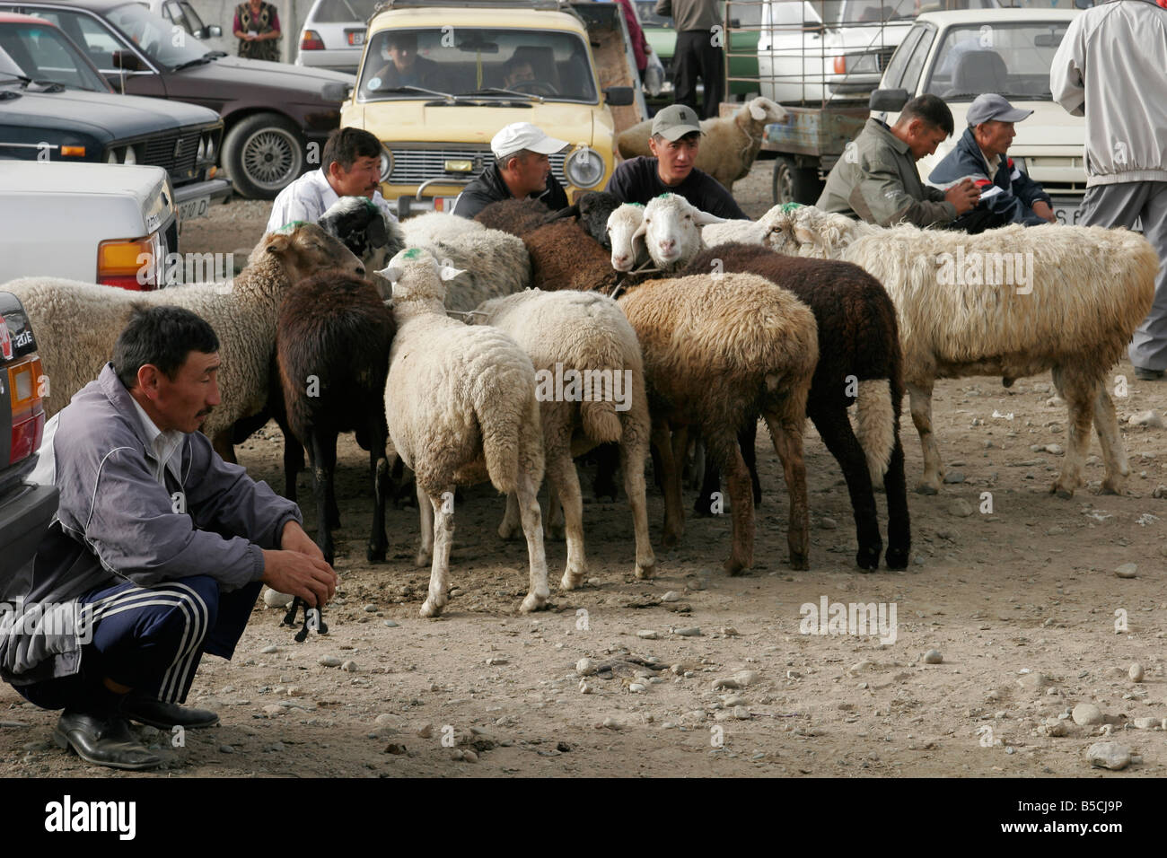 Sunday animal market in Karakol, Kyrgyzstan, Central Asia Stock Photo ...