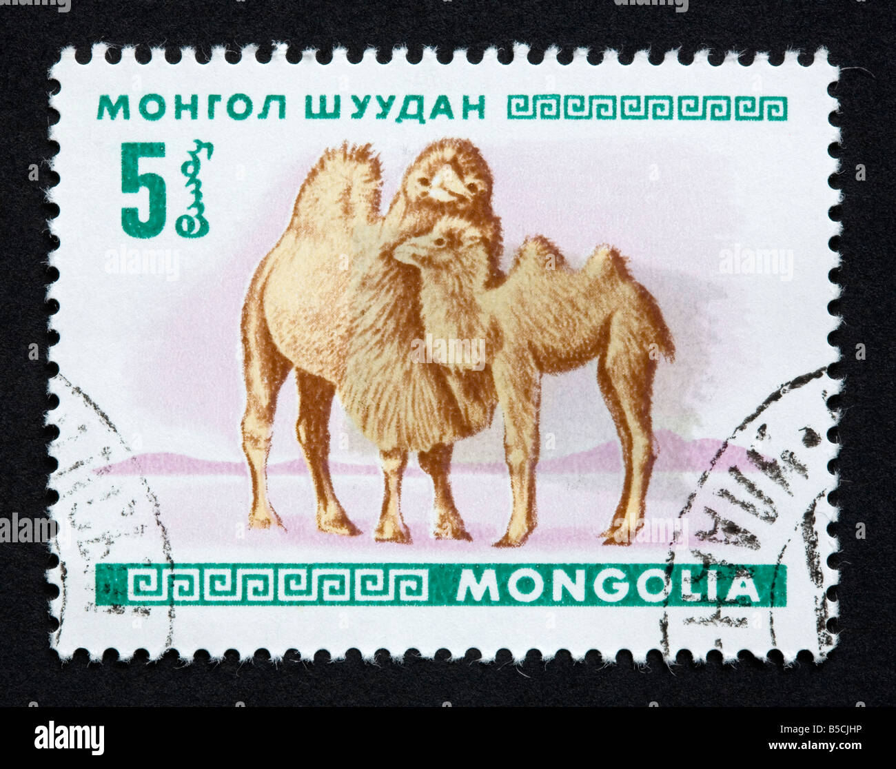 Mongolia camel stamp hi-res stock photography and images - Alamy