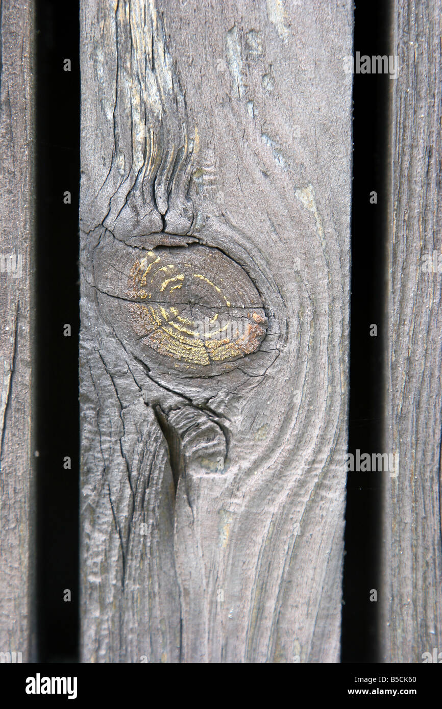 wood plank with a knothole Stock Photo - Alamy