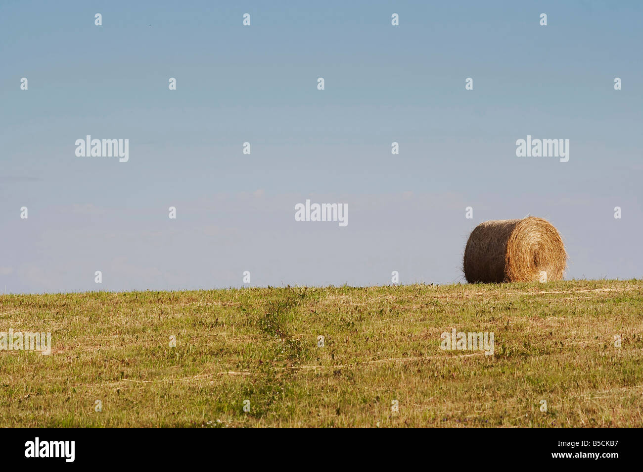 Shot of the landscape - hay meadow Stock Photo - Alamy