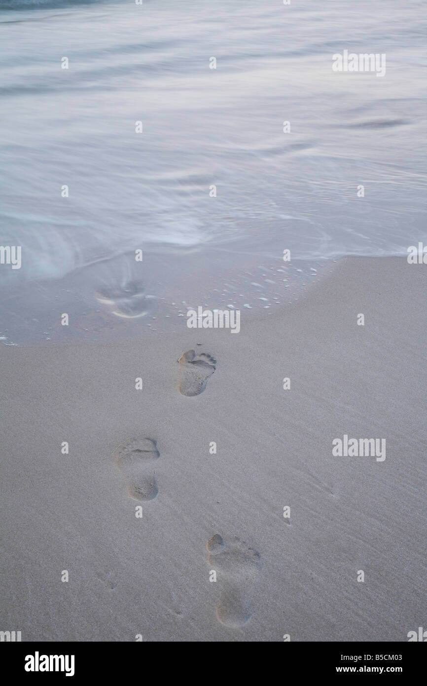 footprints disappearing into the sea Stock Photo - Alamy