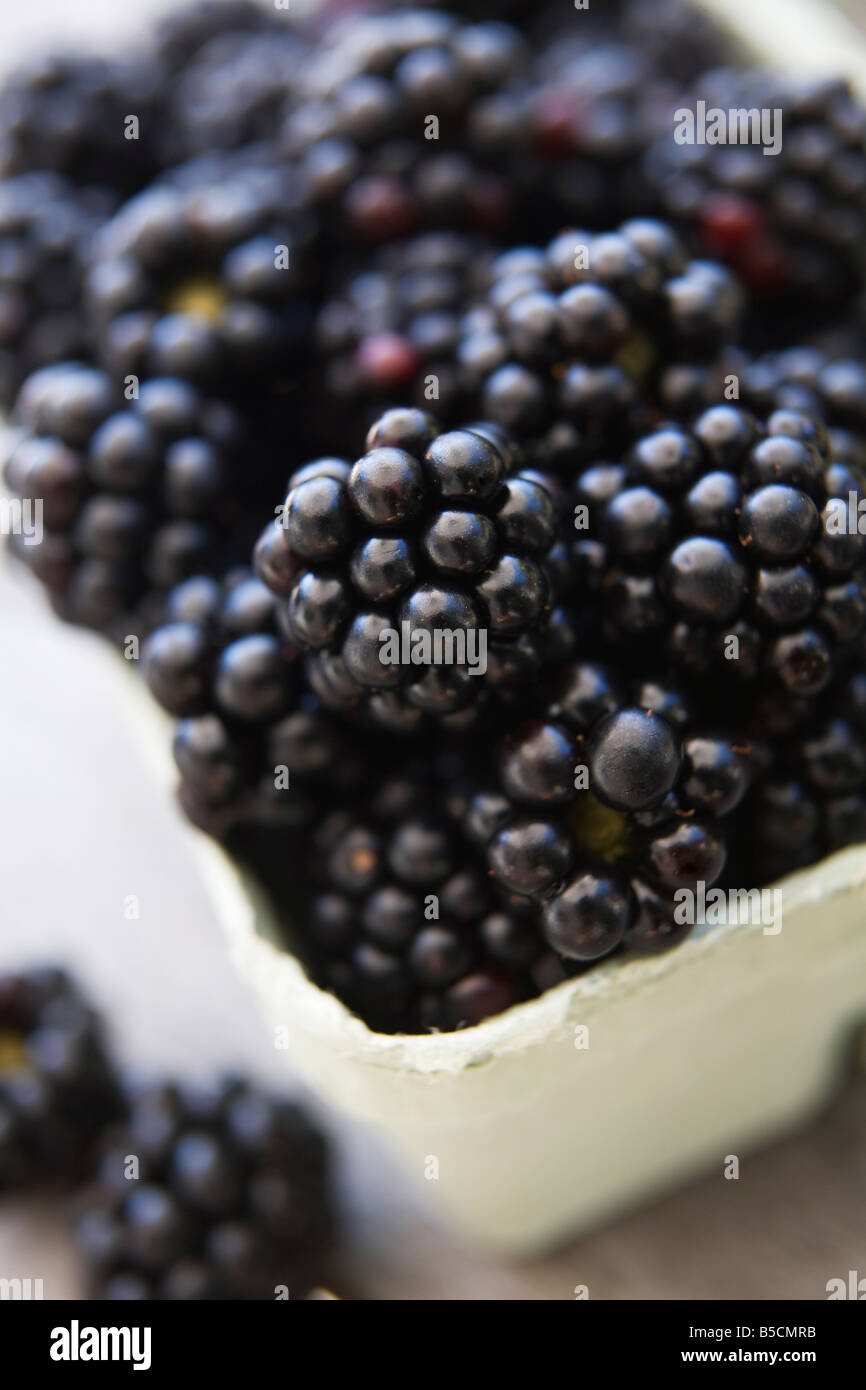 Punnet Of Fresh Blackberries Stock Photo - Alamy
