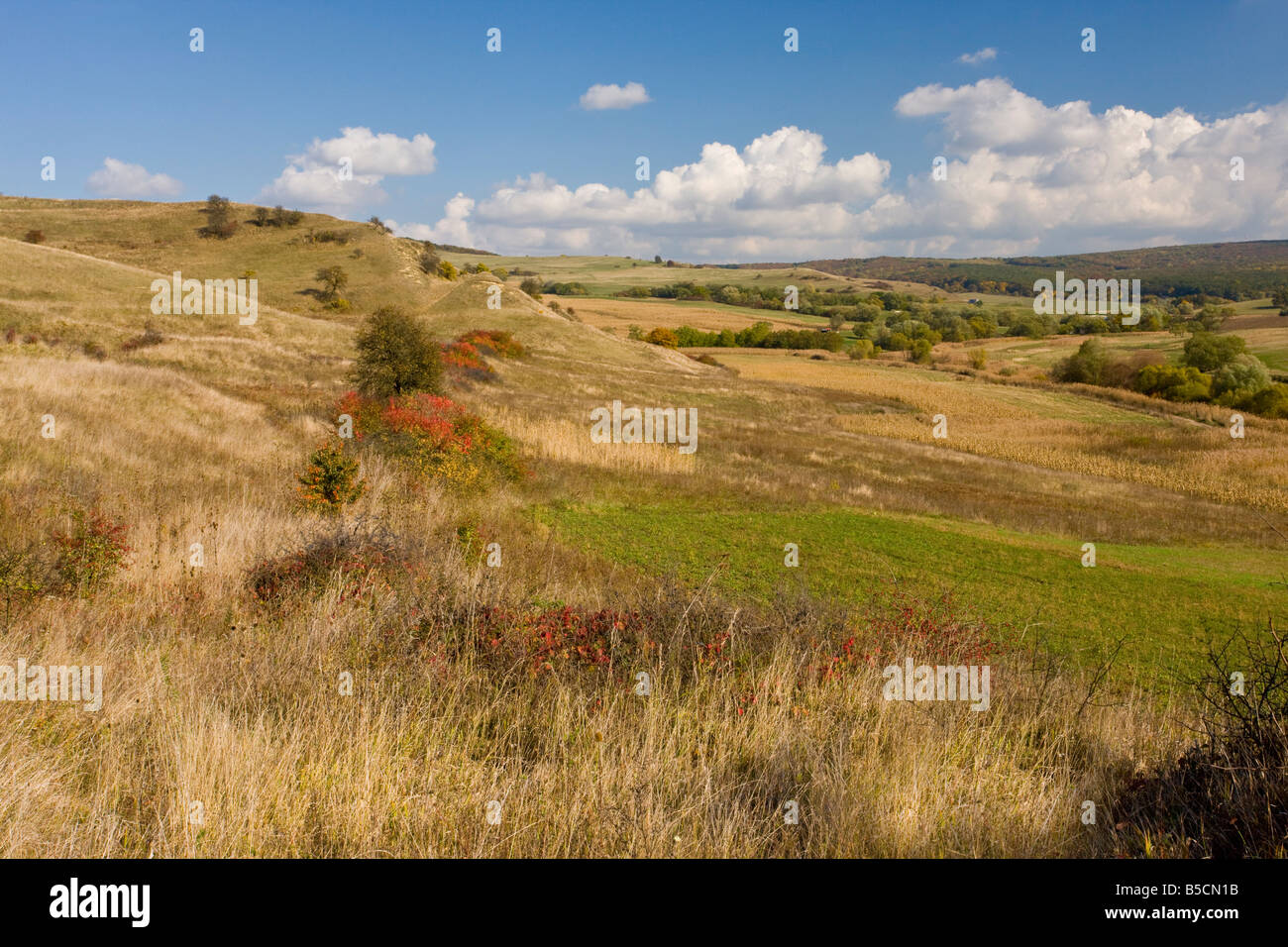 Bucolic hi-res stock photography and images - Alamy