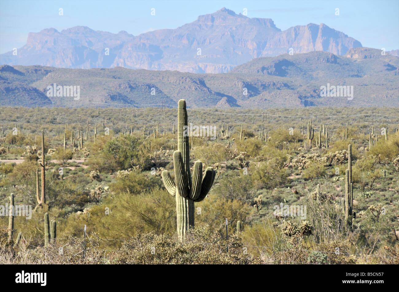 Highway 60 arizona hi-res stock photography and images - Alamy
