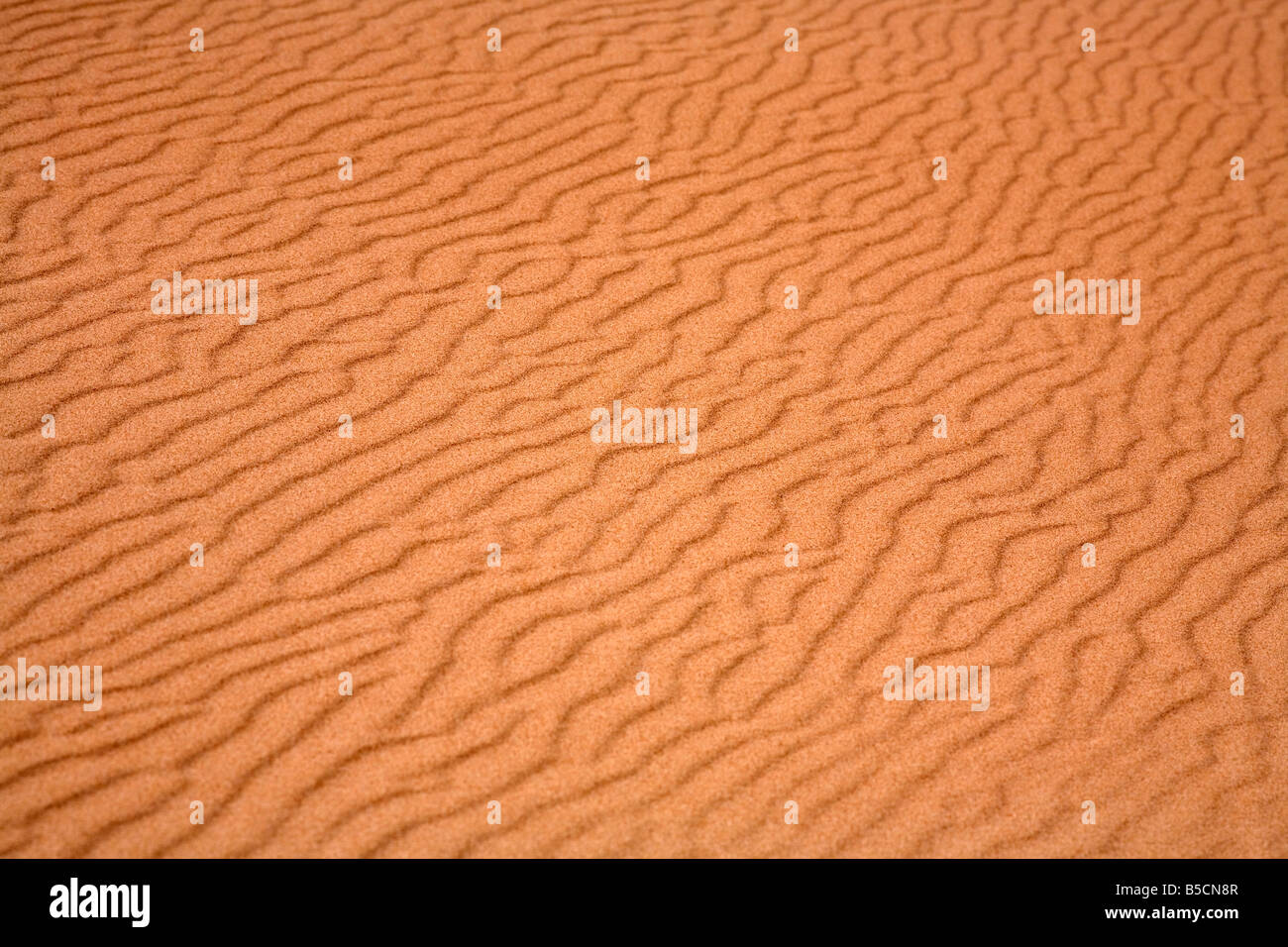 Detailed view of the texture and pattern of a sand dune - Newburgh ...