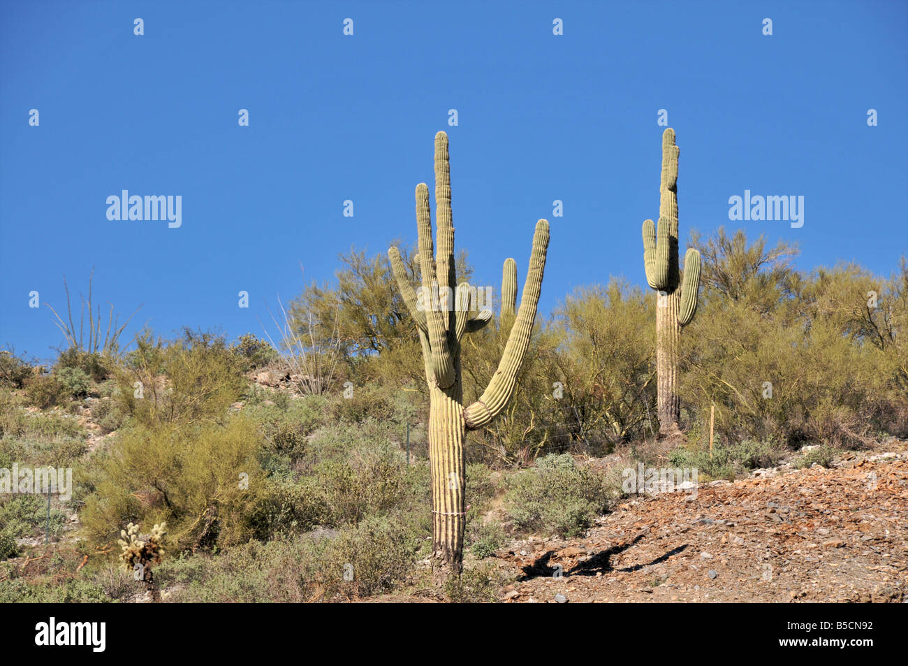 Highway 60 arizona hi-res stock photography and images - Alamy