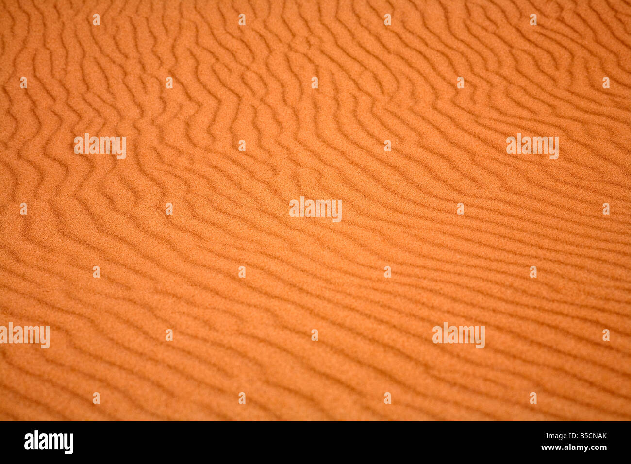 Detailed view of the texture and pattern of a sand dune - Newburgh ...