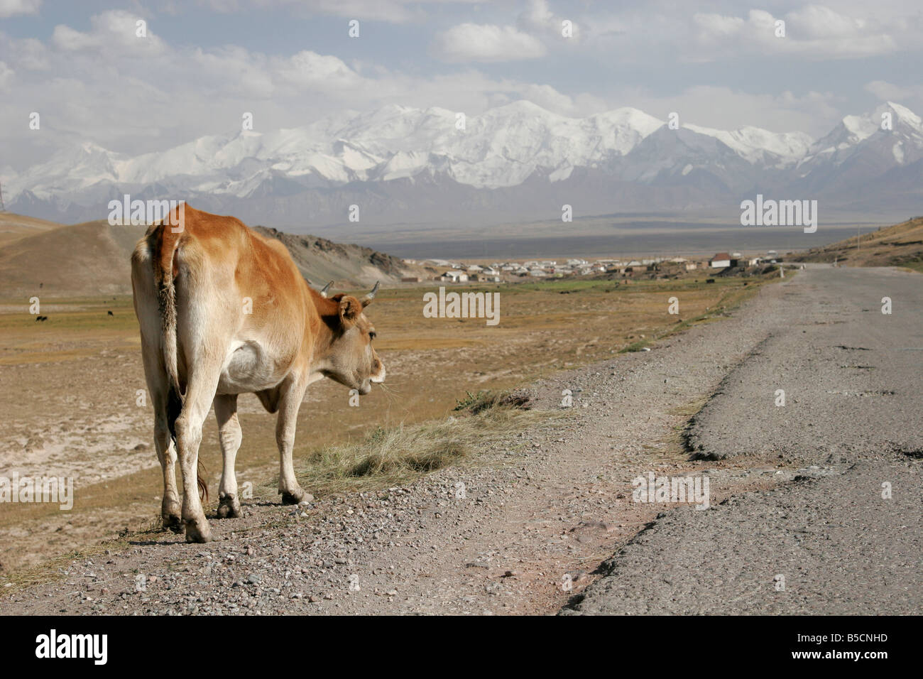 Sary Tash, border town, Pamir mountains covered with snow, Kyrgyzstan ...