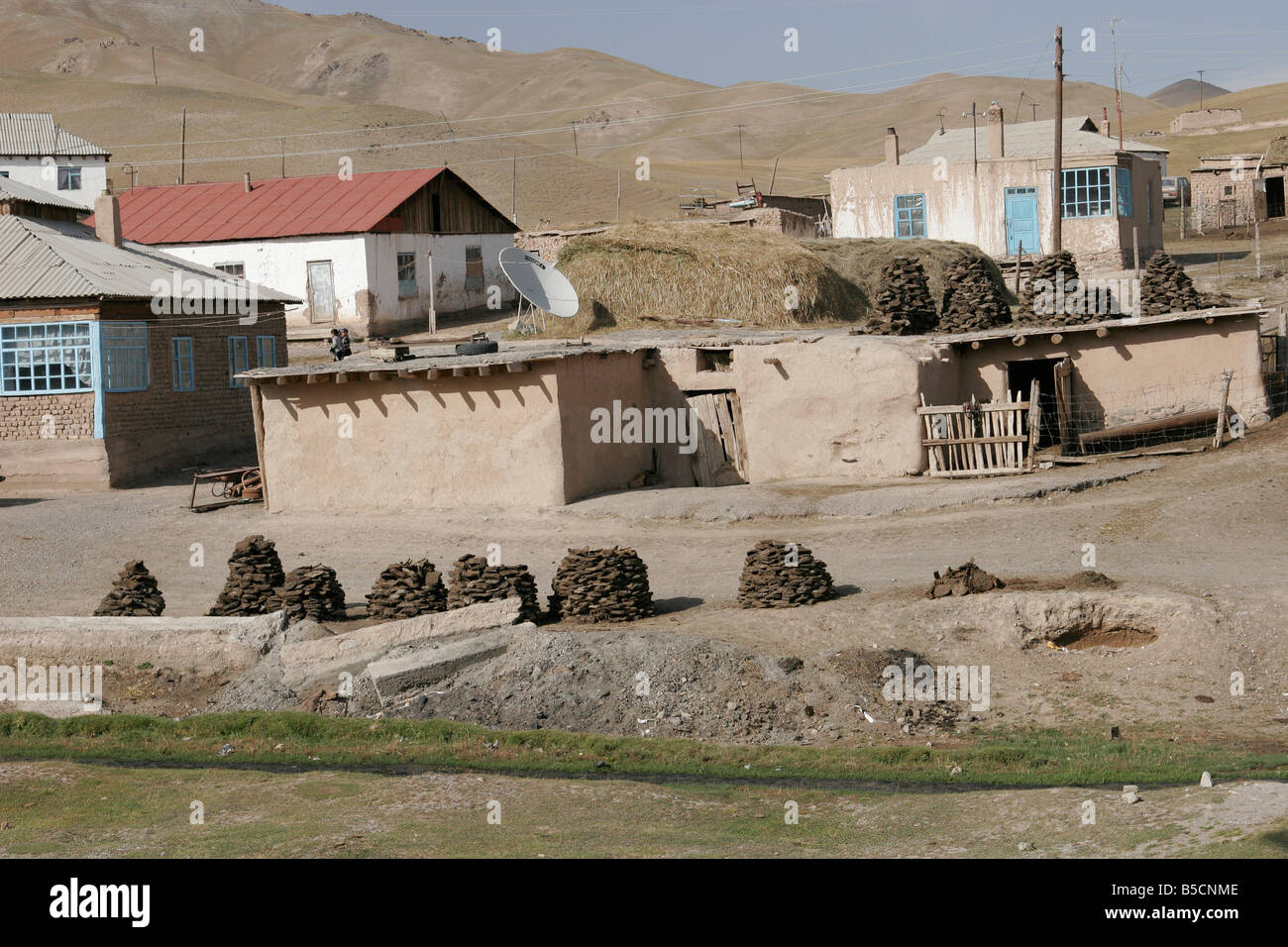 Bricks of dry dung, Sary Tash, border town, Kyrgyzstan, Central Asia ...
