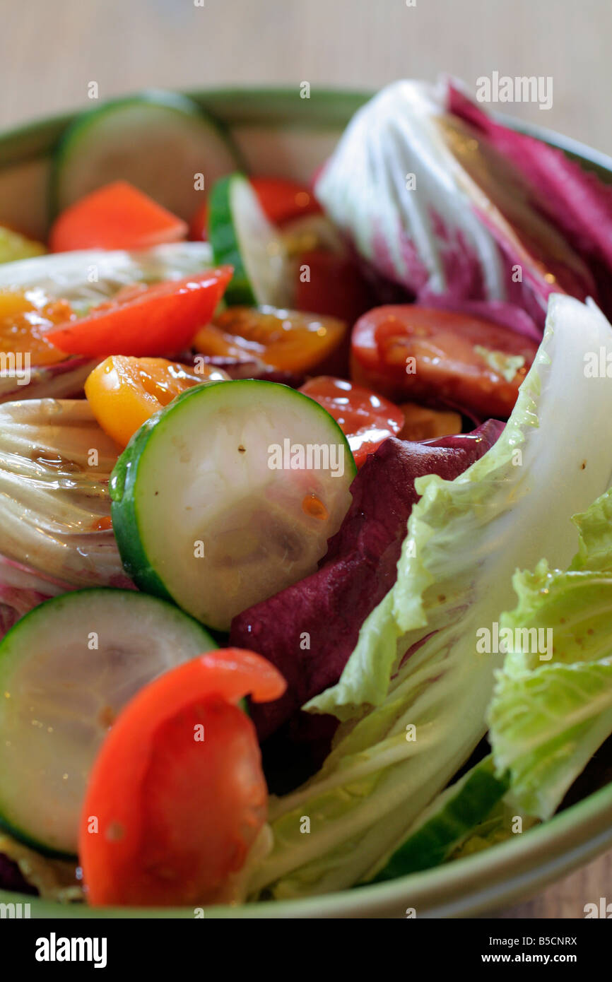 CHICORY PALLA ROSSA RED LEAVES AND CHINESE CABBAGE ONE KILO SB WITH THE ...