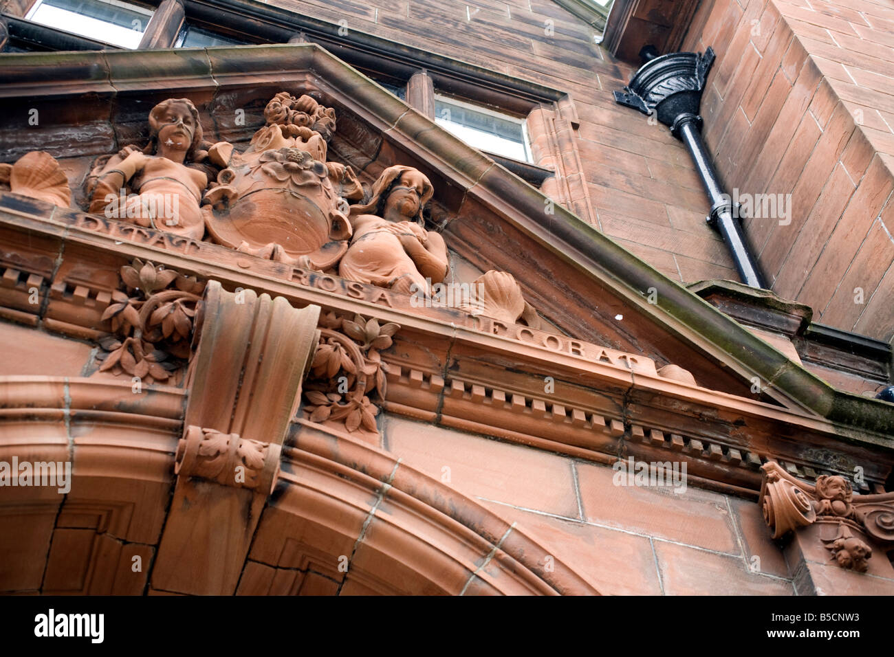Angus Library High Resolution Stock Photography and Images - Alamy