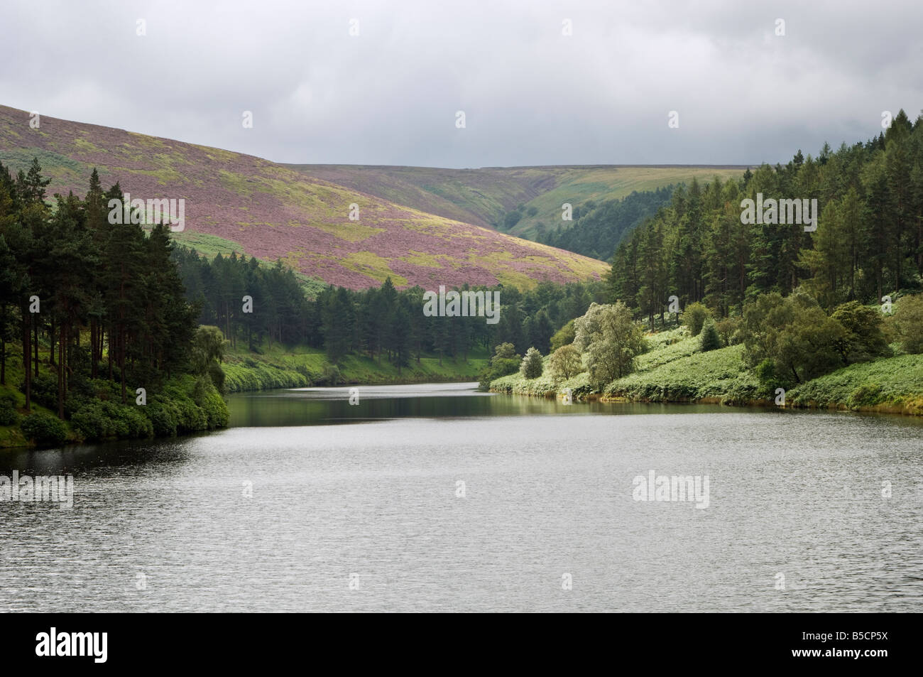 Howden Reservoir, Derwent Valley, Peak District National Park ...