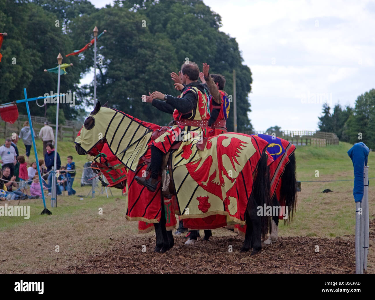 Knight salute horse hi-res stock photography and images - Alamy